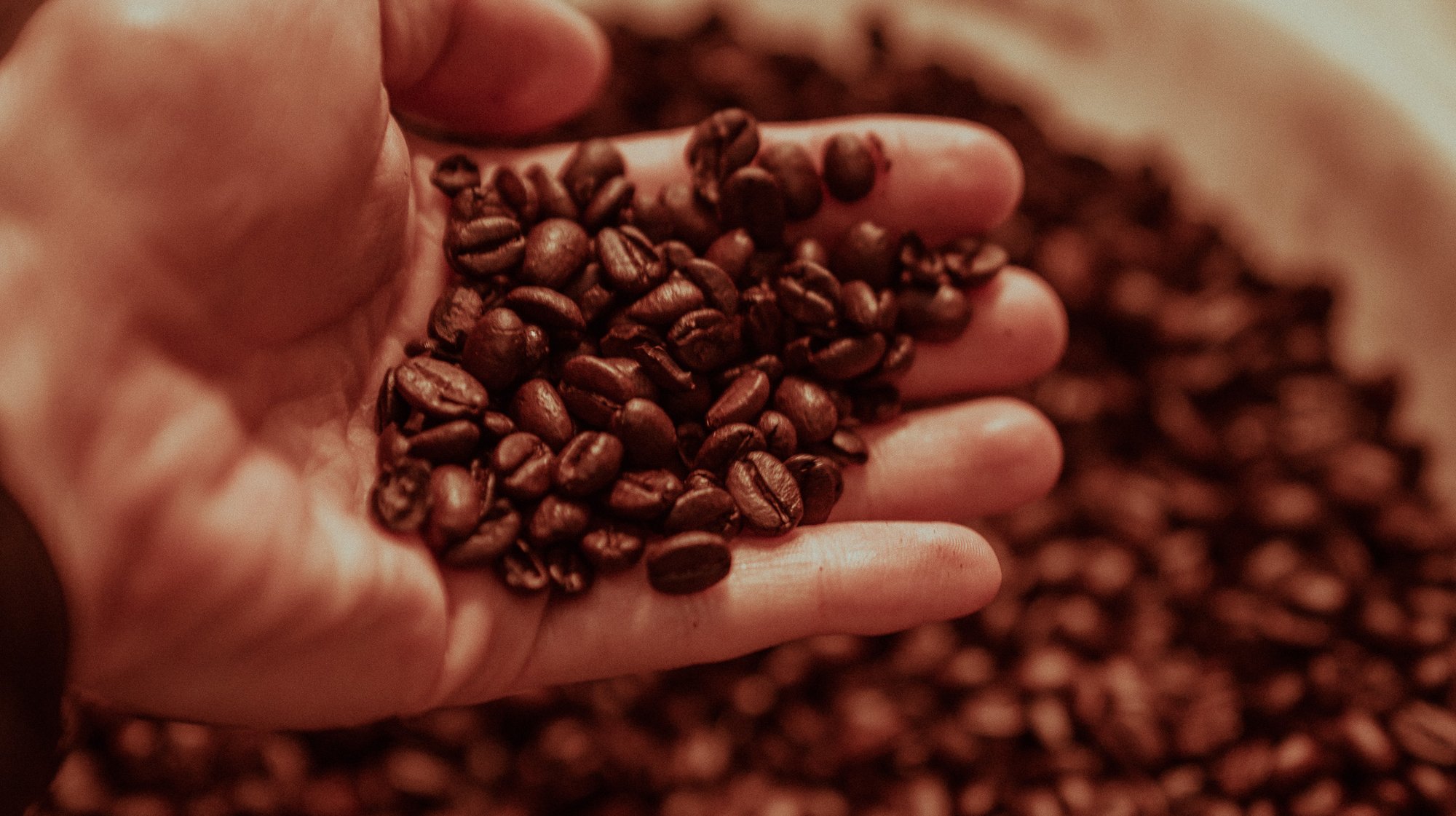 Identifying and avoiding common roasting defects